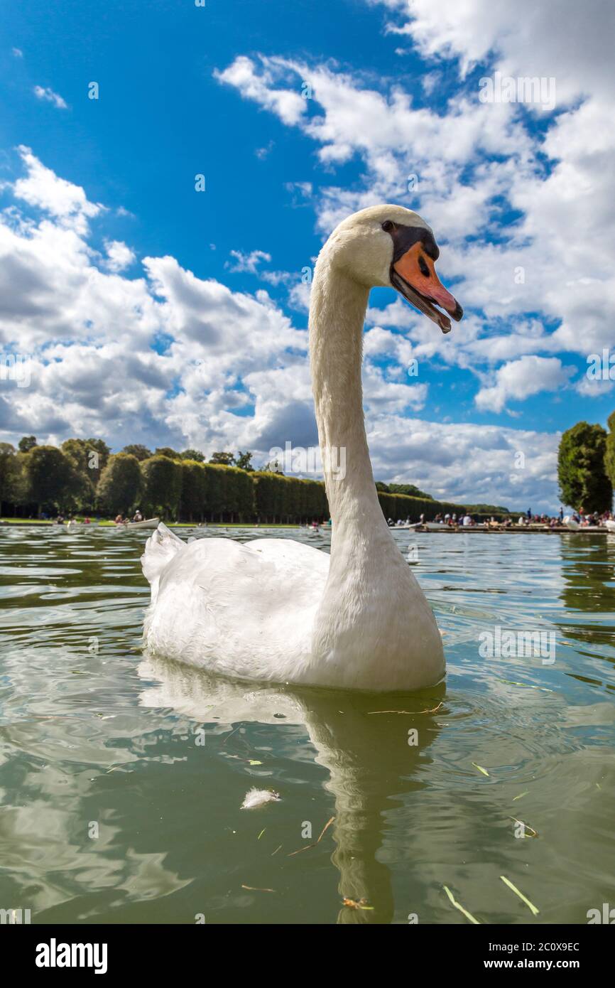 Symbole muet Banque d'image et photos - Alamy
