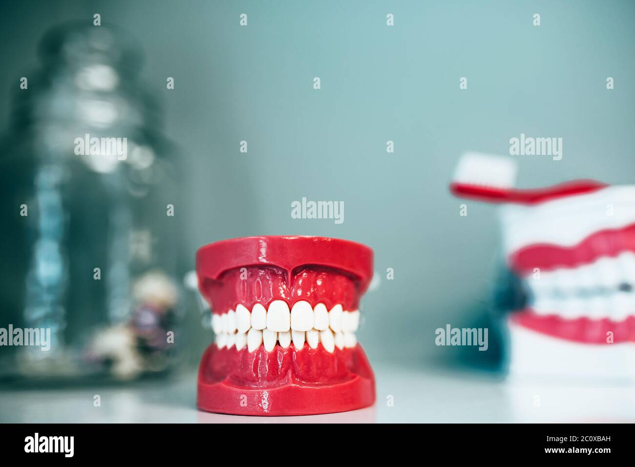 Modèles de la mâchoire humaine dans le cabinet du dentiste - modèle de ...