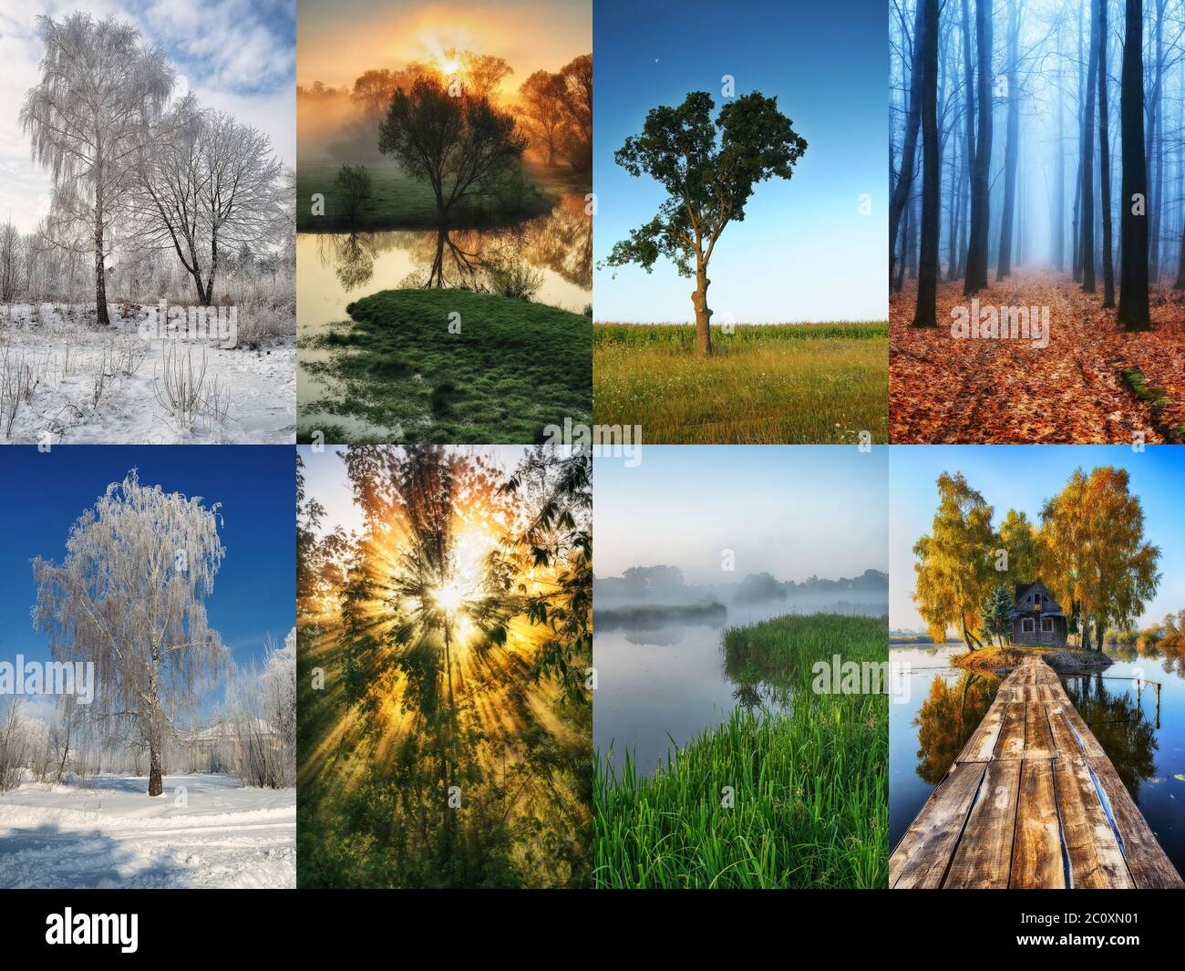 Printemps été automne hiver Banque de photographies et d’images à haute ...