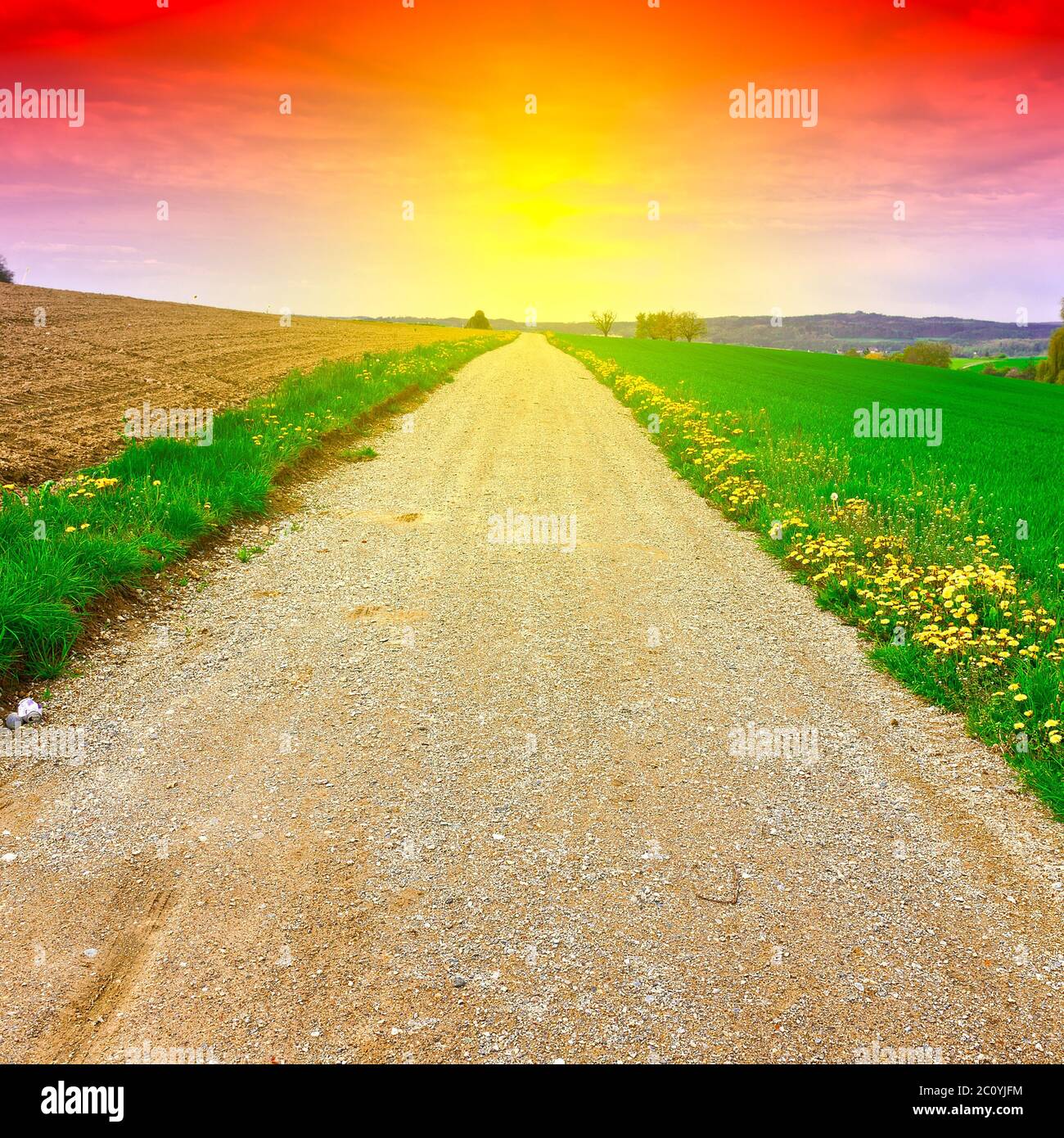 Chemin de terre au coucher du soleil Banque de photographies et d ...