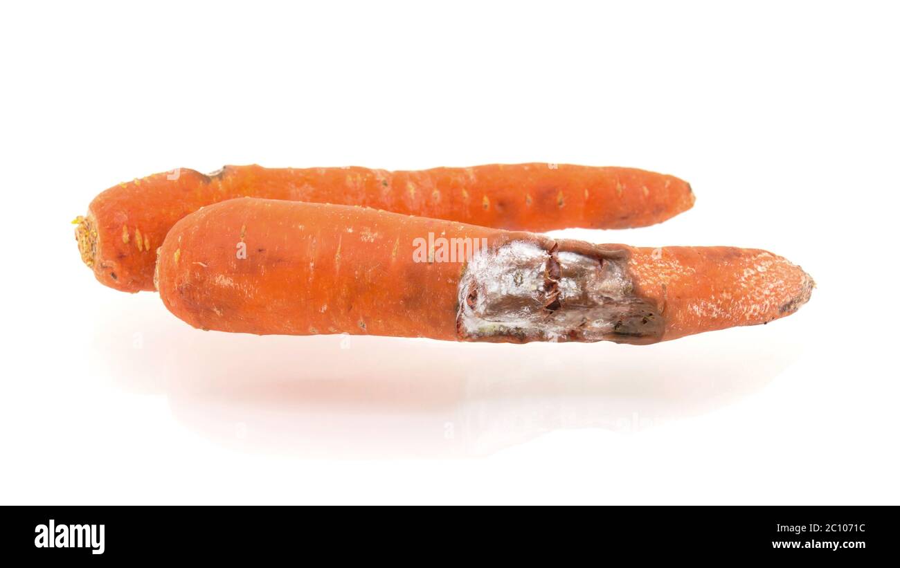 Shrivel skin Banque de photographies et d’images à haute résolution - Alamy