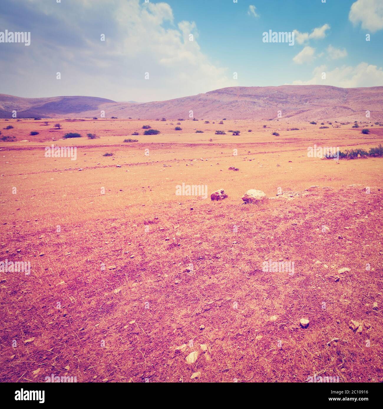 Sand hills Banque de photographies et d’images à haute résolution - Alamy