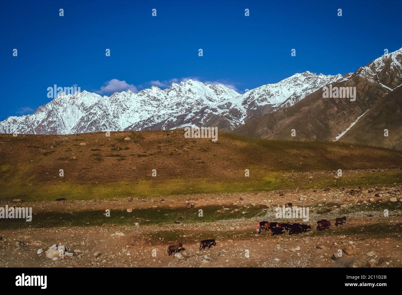 Bergers de montagne Banque de photographies et d’images à haute résolution - Alamy