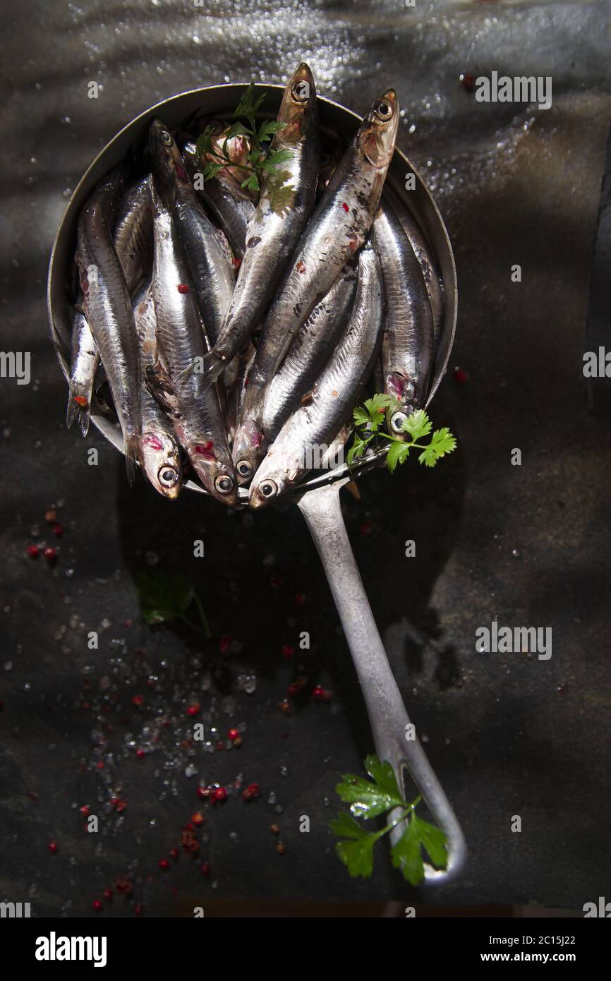 Anchois de mer noire Banque de photographies et d’images à haute ...