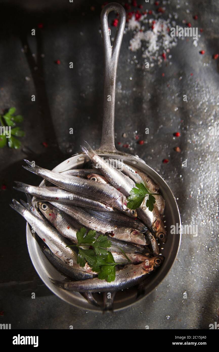 Anchois de mer noire Banque de photographies et d’images à haute ...