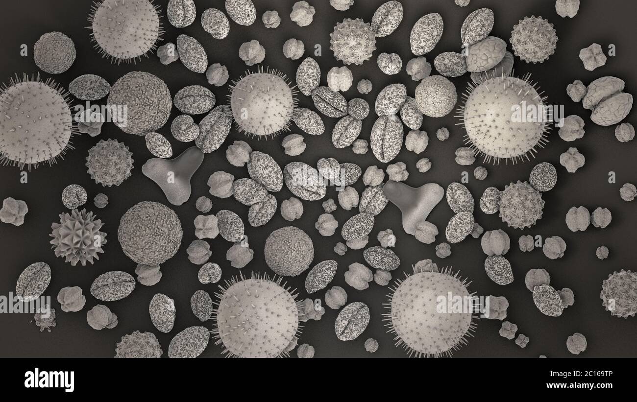 Illustration 3d de différents types de pollen Photo Stock - Alamy