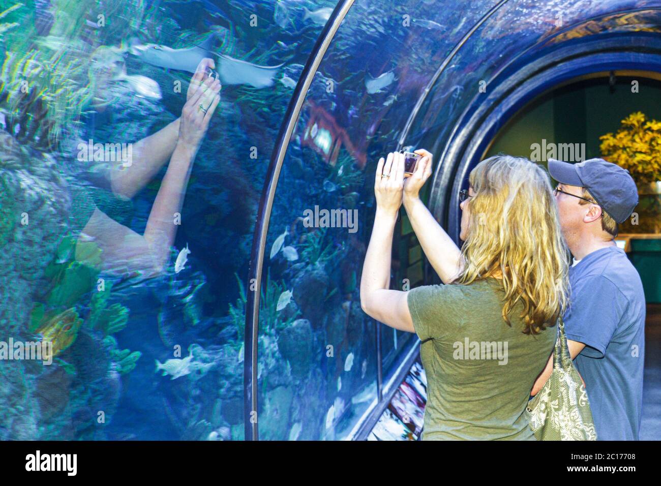 Vie aquatique Banque de photographies et d’images à haute résolution ...