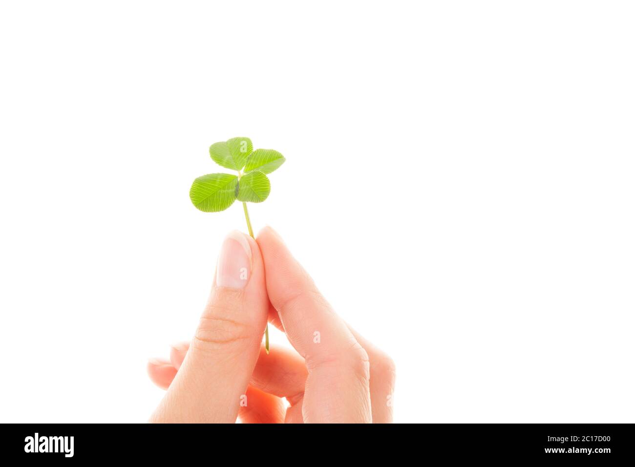 Lucky leaf Banque de photographies et d’images à haute résolution - Alamy