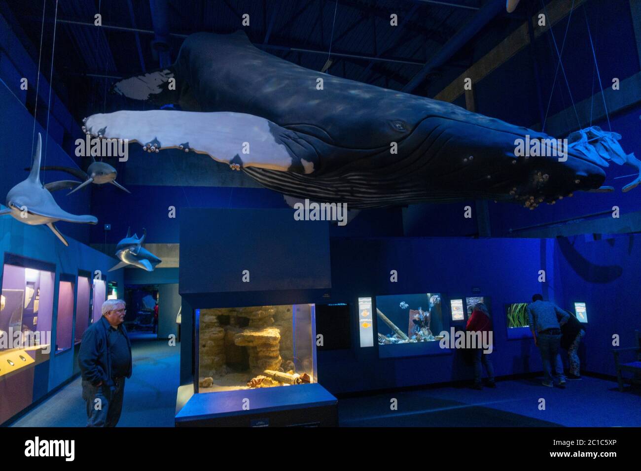 Marine sciences Banque de photographies et d’images à haute résolution ...