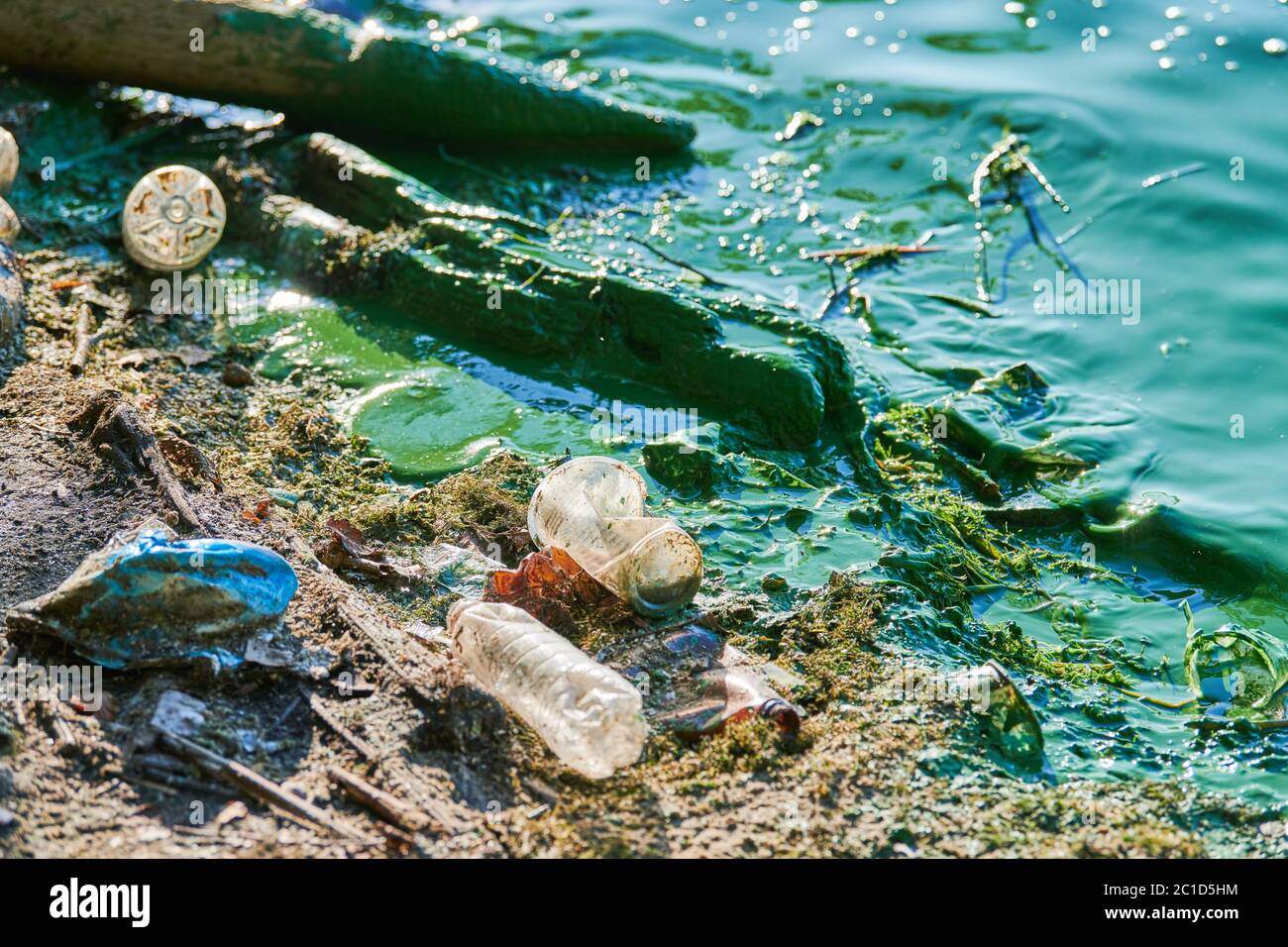 Pollution de l'eau dans l'environnement. Rivière polluée - eau verte ...