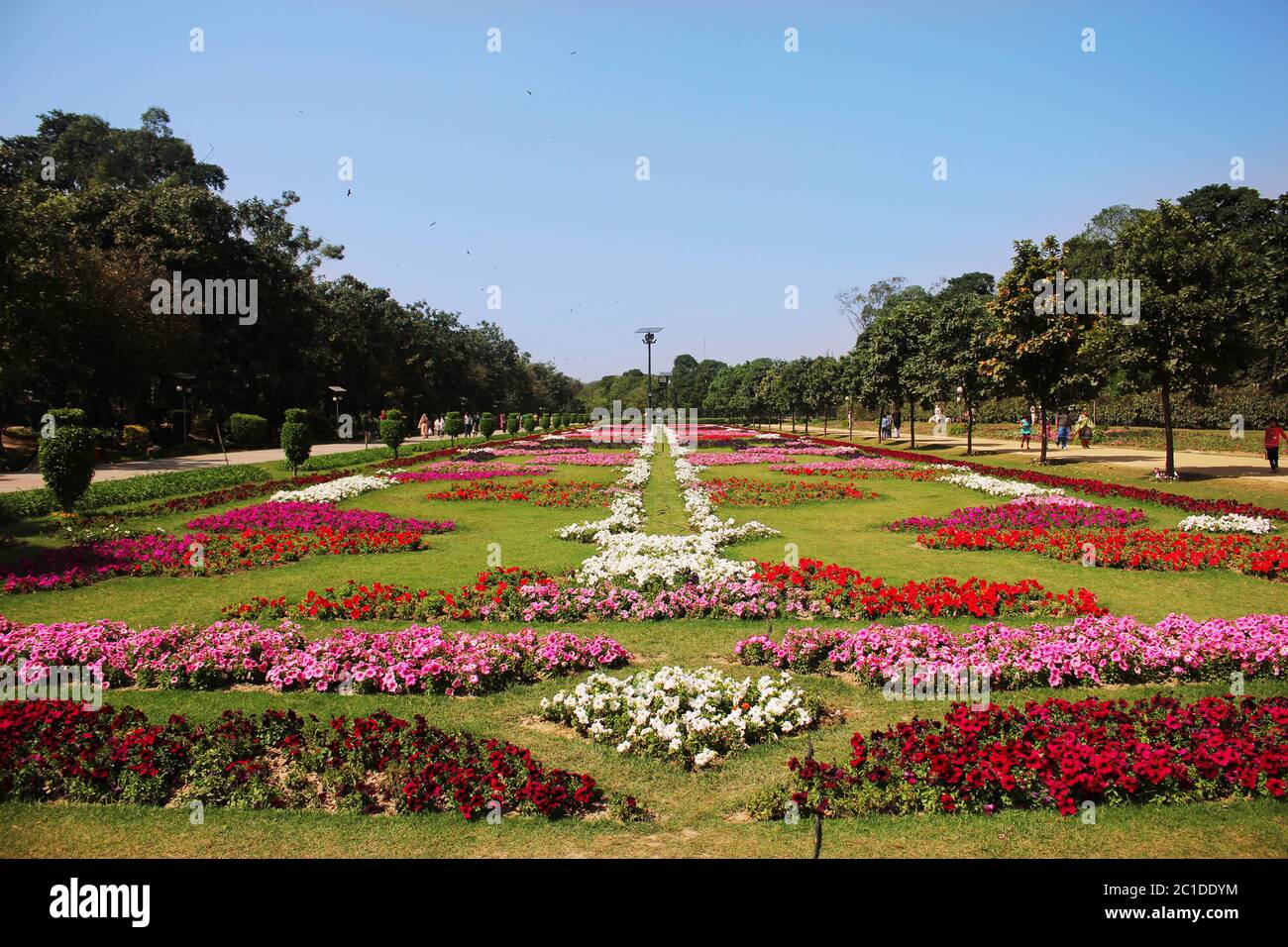 Flore du pakistan Banque de photographies et d’images à haute ...