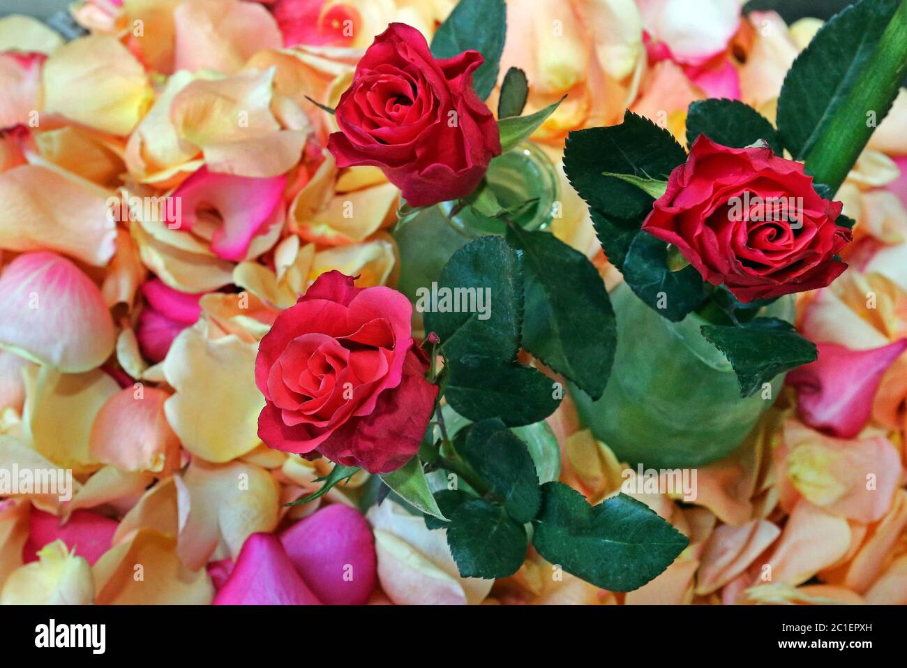 Trois rouges Banque de photographies et d’images à haute résolution - Alamy