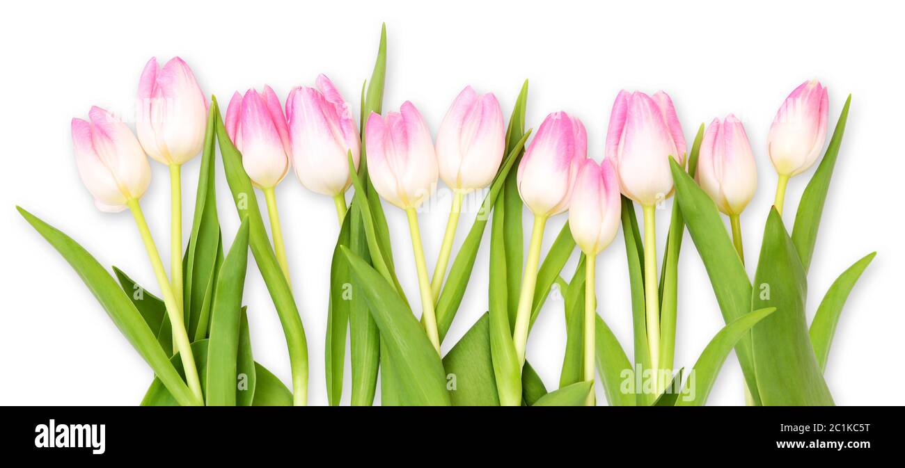 Carte de remerciement roses Banque de photographies et d’images à haute ...