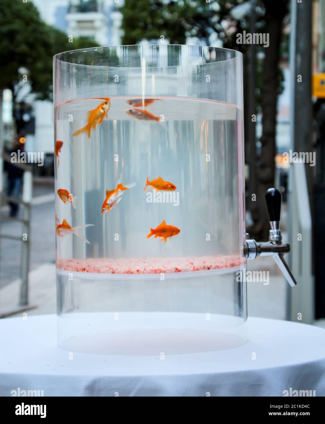 Bassin piscine Banque de photographies et d’images à haute résolution ...