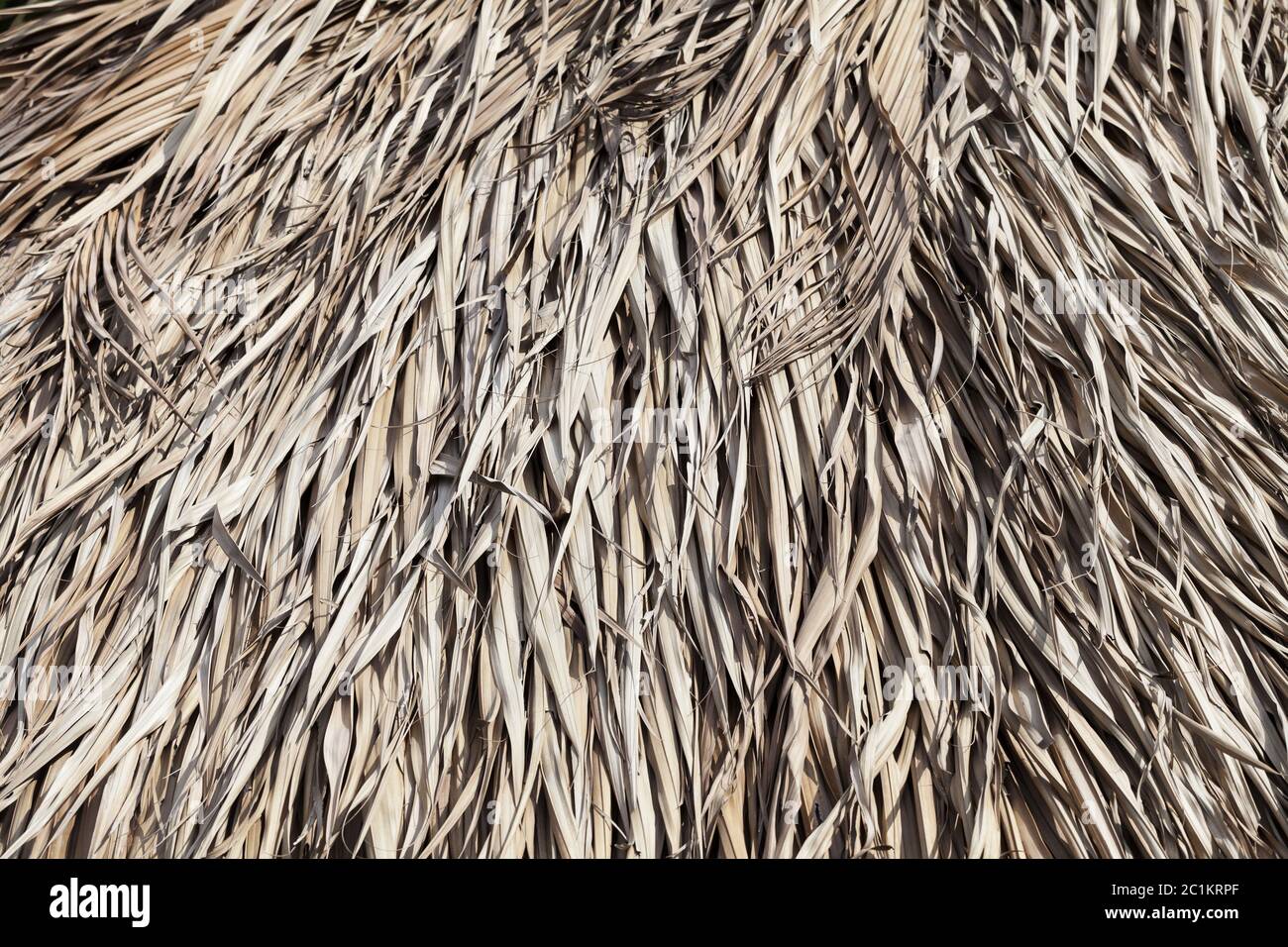 La texture d'un toit de chaume Photo Stock - Alamy