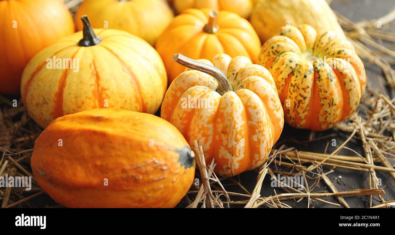 Citrouilles jaunes moelleuses Banque de photographies et d’images à ...