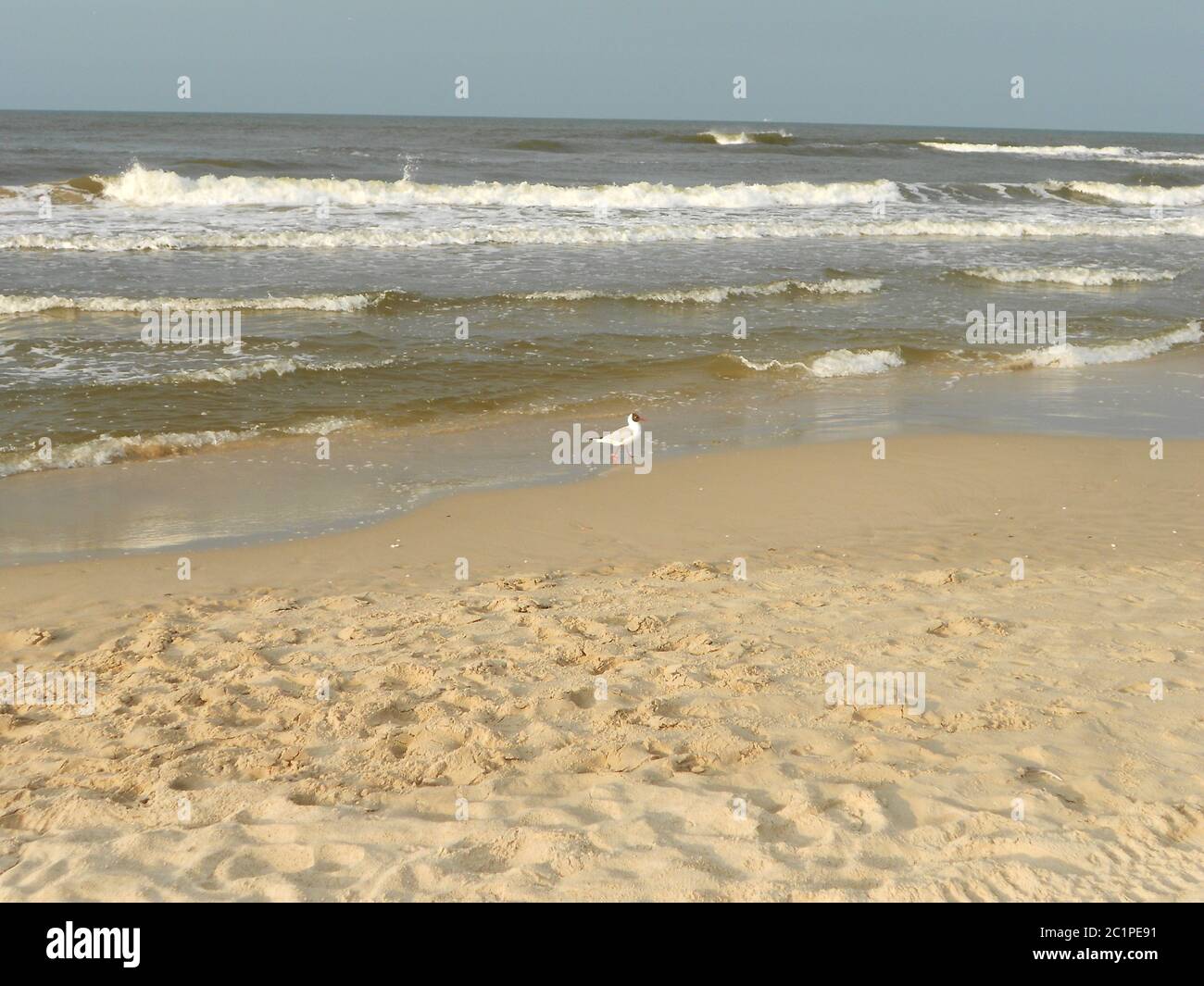 Mer paisible Banque de photographies et d’images à haute résolution - Alamy