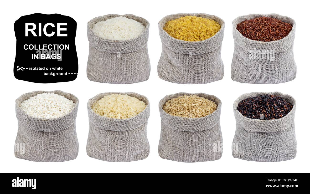 Récolte de riz isolée sur fond blanc. Différents types de riz en ...