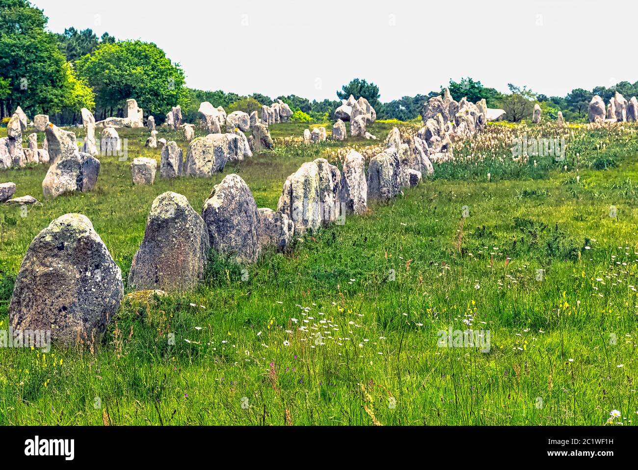 Carnac menhirs alignment Banque de photographies et d’images à haute ...