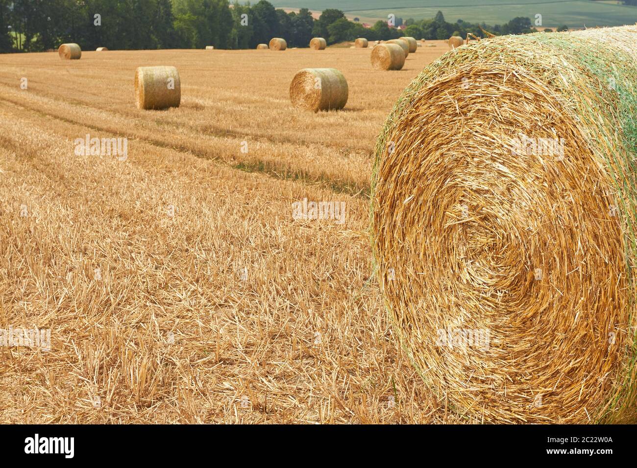 Paille agriculture Banque de photographies et d’images à haute ...
