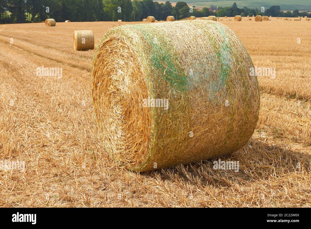 Paille agriculture Banque de photographies et d’images à haute ...
