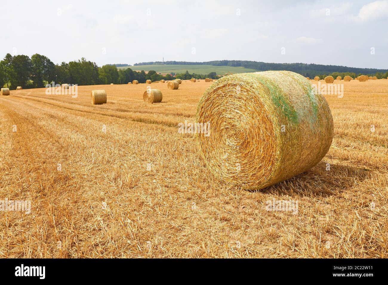 Paille agriculture Banque de photographies et d’images à haute ...