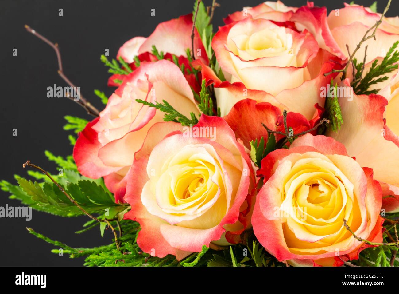 Roses bicolores jaunes et rouges disposées avec des branches, des verts ...