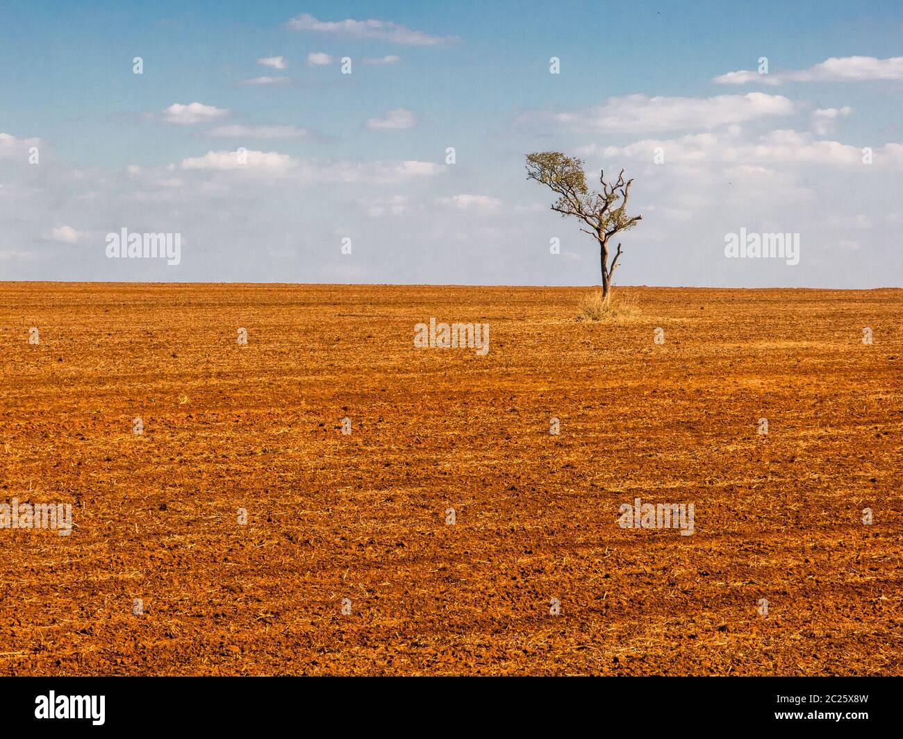 Terre dévastée Banque de photographies et d’images à haute résolution ...