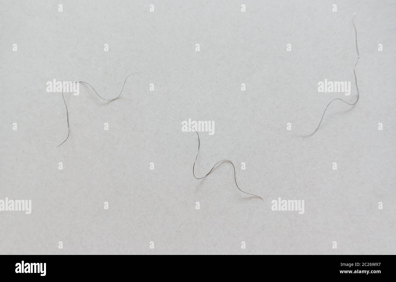 Poil pubien Banque de photographies et d’images à haute résolution - Alamy