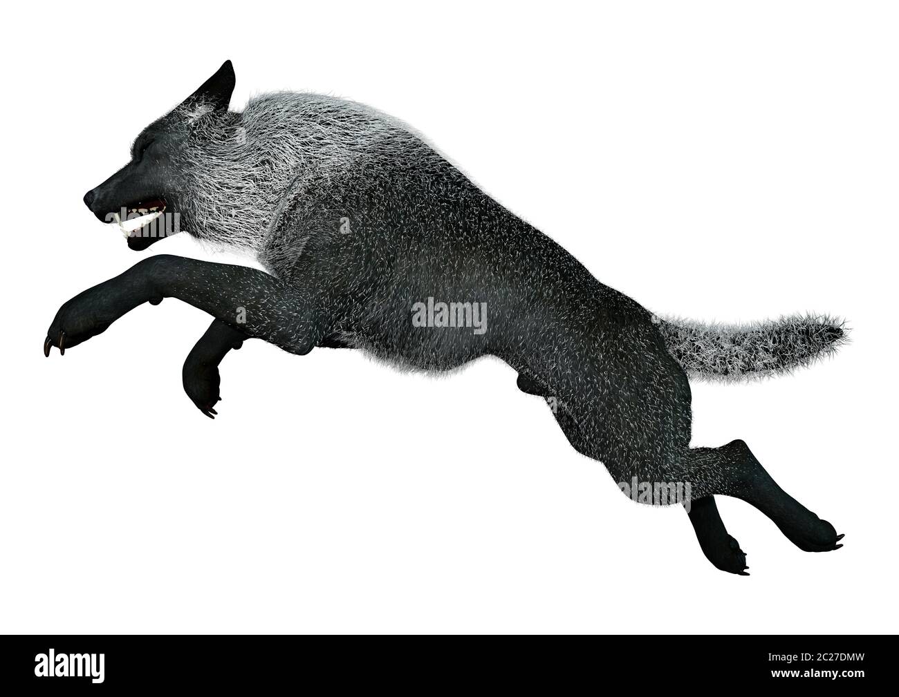 Loup sautant Banque d'images détourées - Alamy
