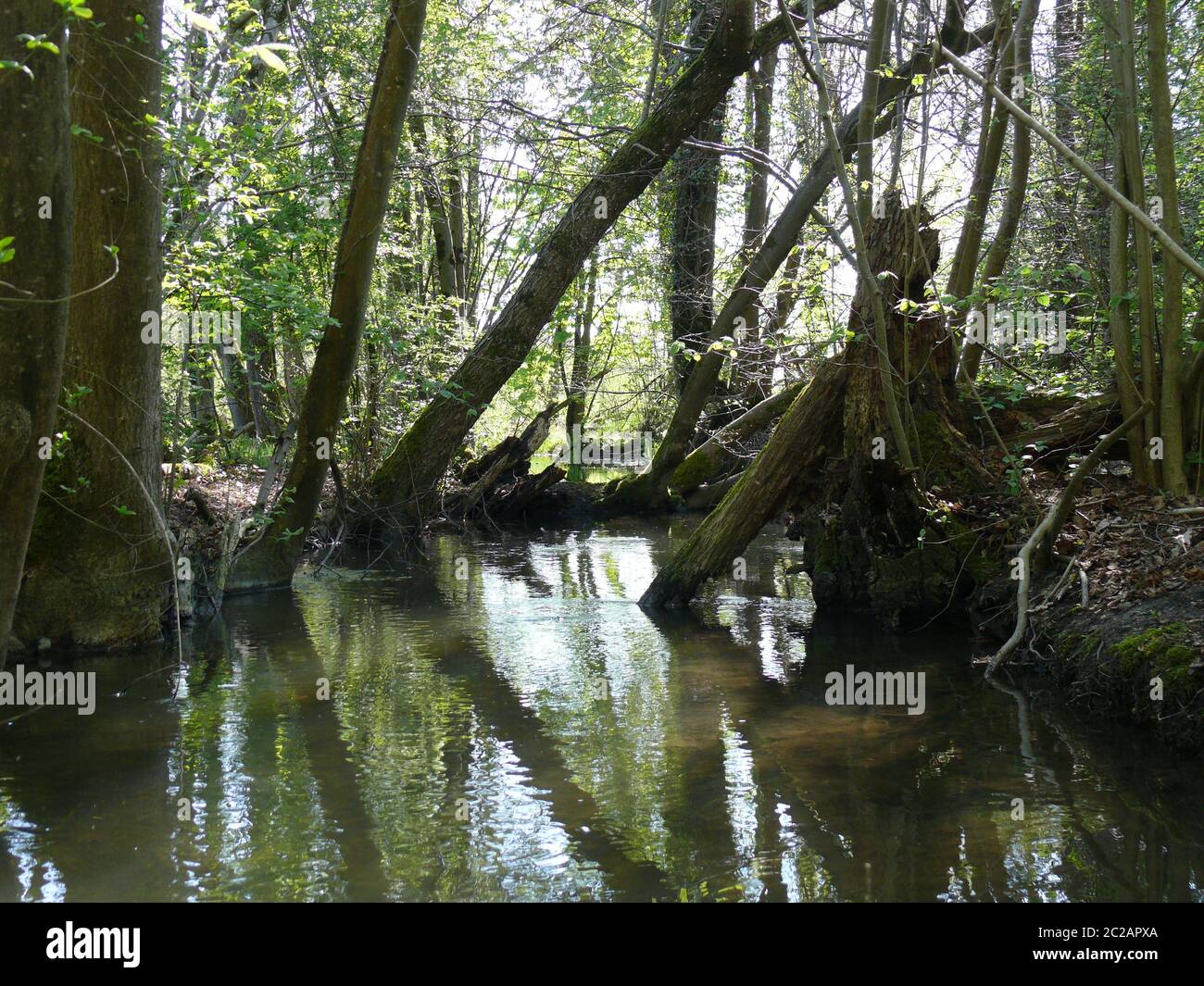 Paysage de la plaine inondable Banque de photographies et d’images à ...