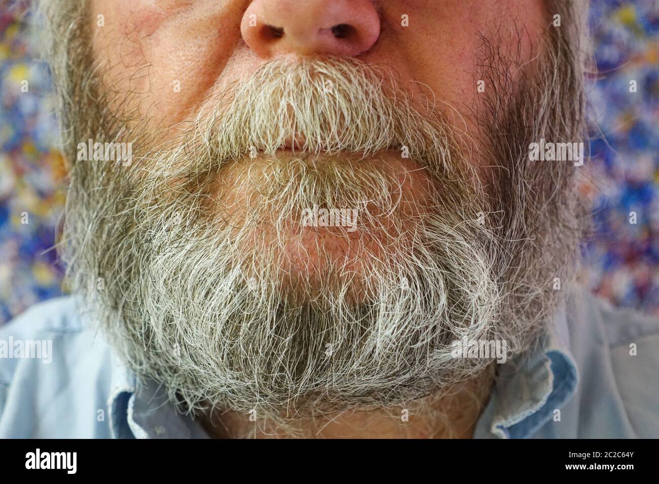 Homme de 70 ans avec barbe de cheveux gris Banque de photographies et d ...