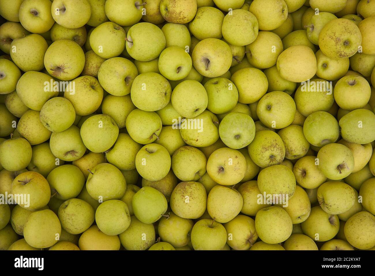 Des tonnes de pommes Banque de photographies et d’images à haute ...