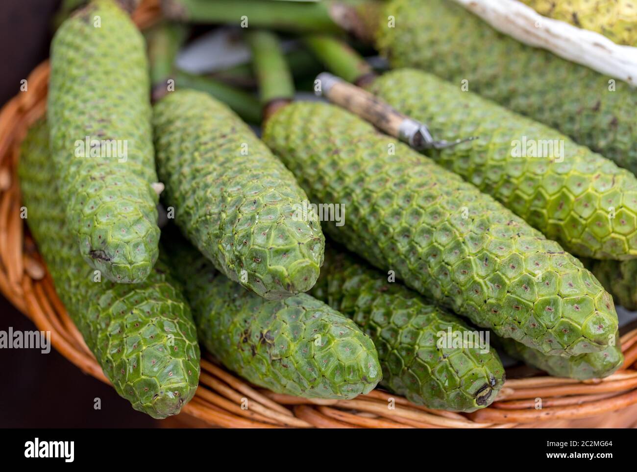 Ananas-banane fruit (Montera deliciosa) à Mercado dos Lavradores ...
