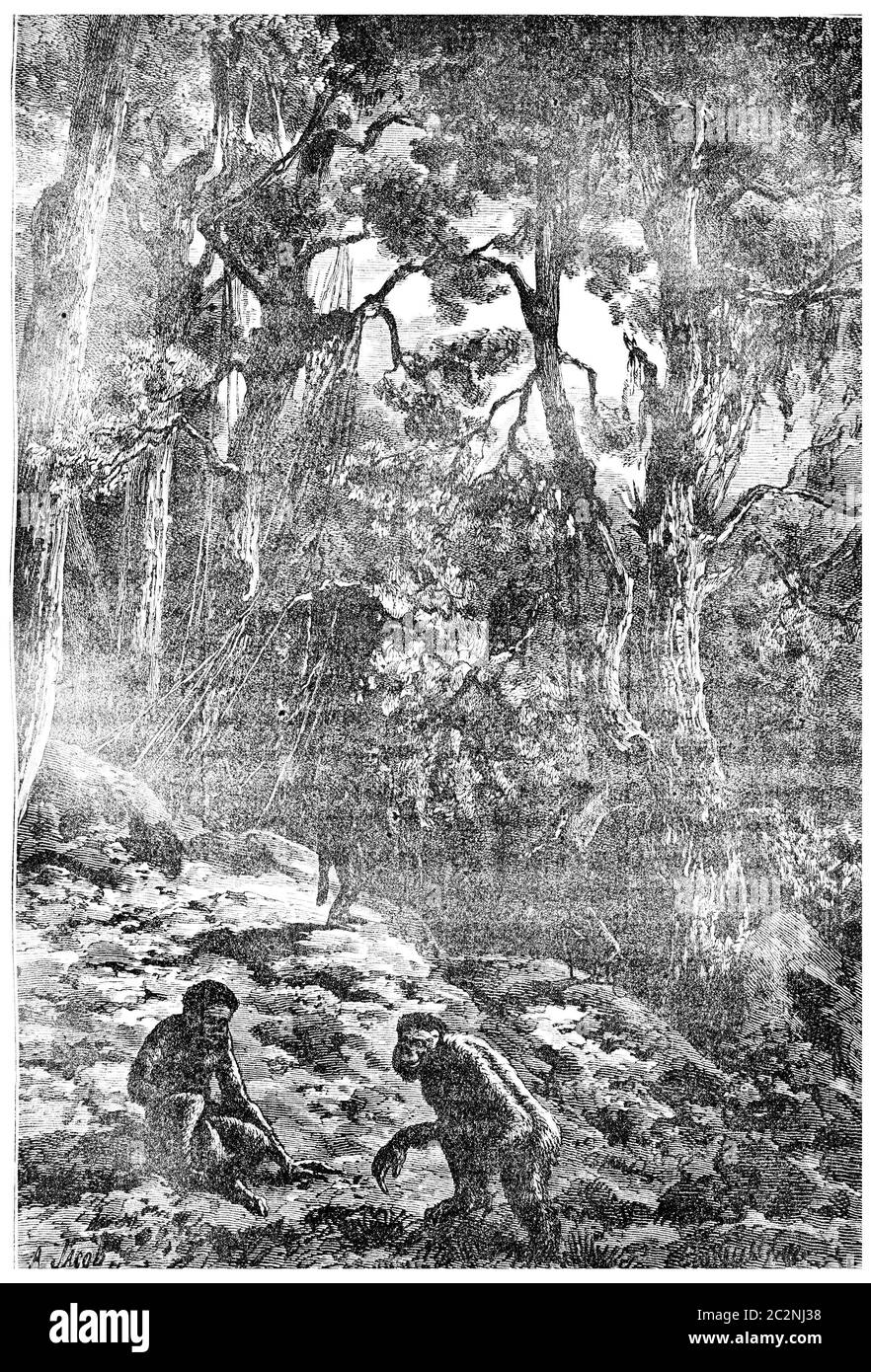 Neogene era Banque d'images noir et blanc - Alamy