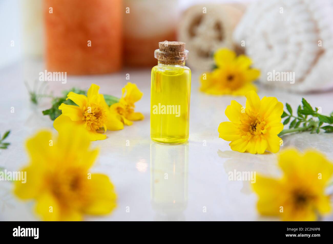 Flower essence Banque de photographies et d’images à haute résolution ...