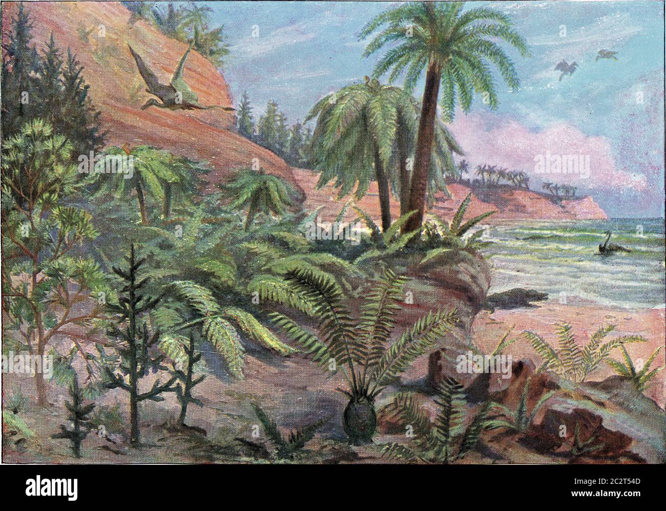 Paysage de la période jurassique, illustration gravée d'époque. De l ...