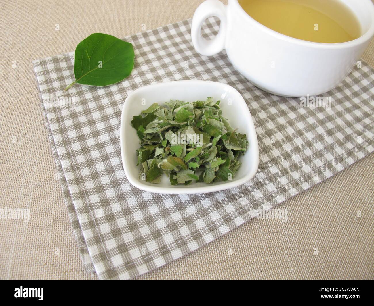 Feuilles de coing Banque de photographies et d’images à haute ...