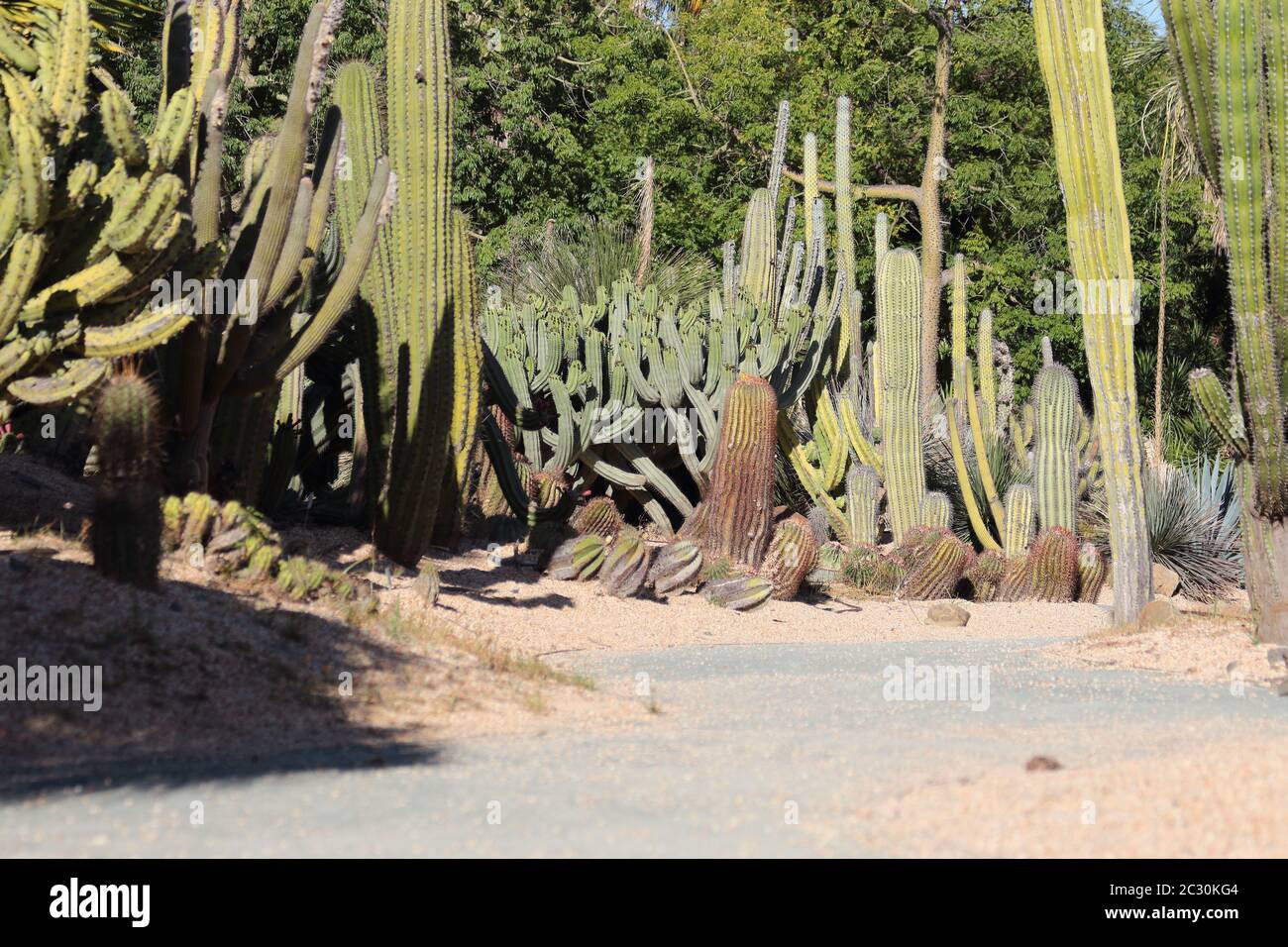 Parc de la paloma benalmadena Banque de photographies et d’images à ...