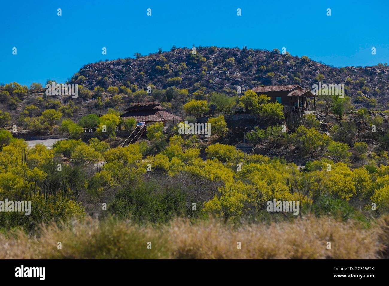 Cabana sur le Cerro del Bachoco. Cabaña en el Cerro del Bachoco. Nueva ...