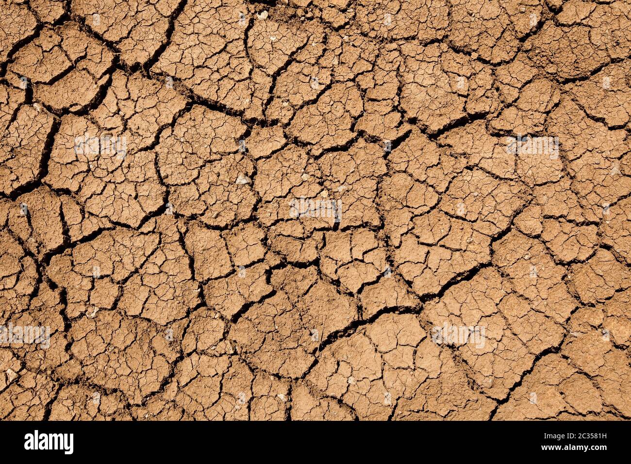 Ground texture Banque de photographies et d’images à haute résolution ...