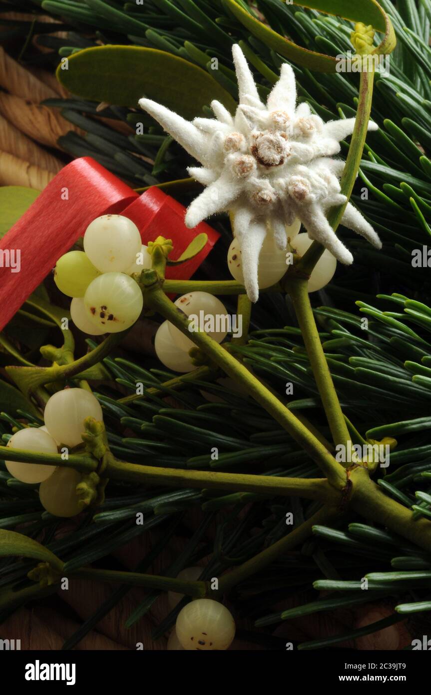 Gui avec des fleurs et des fruits Banque de photographies et d’images à ...