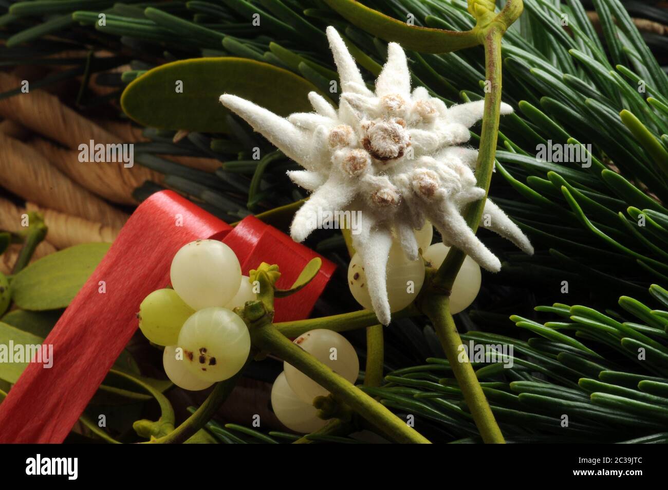 Gui avec des fleurs et des fruits Banque de photographies et d’images à ...