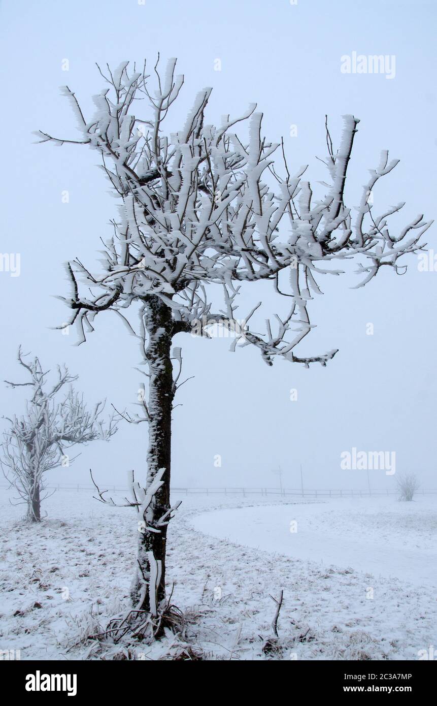 Vent de neige Banque de photographies et d’images à haute résolution ...