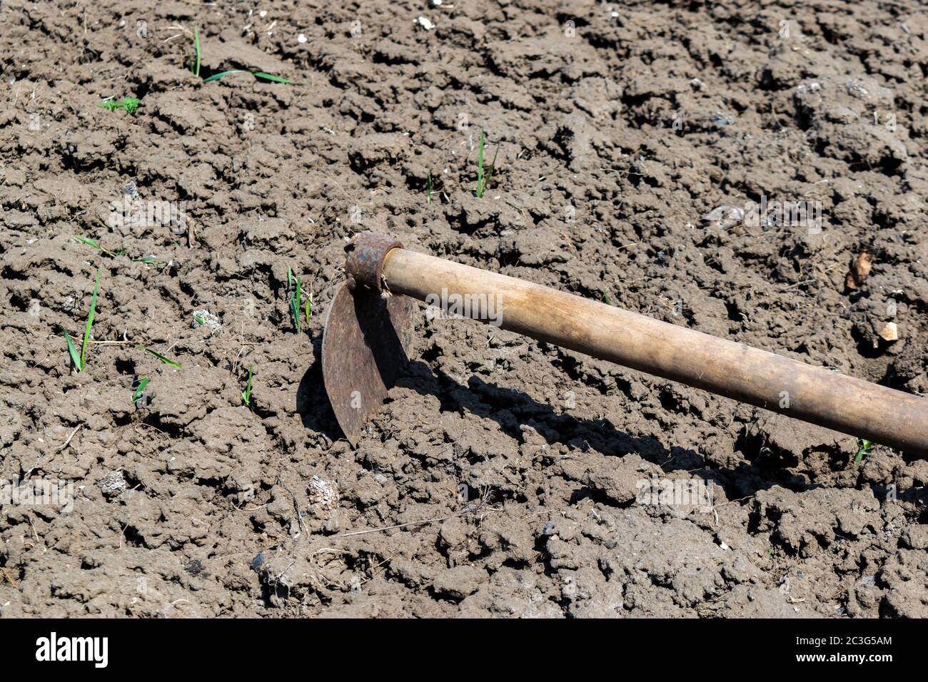 Houe de jardinage Banque de photographies et d’images à haute ...