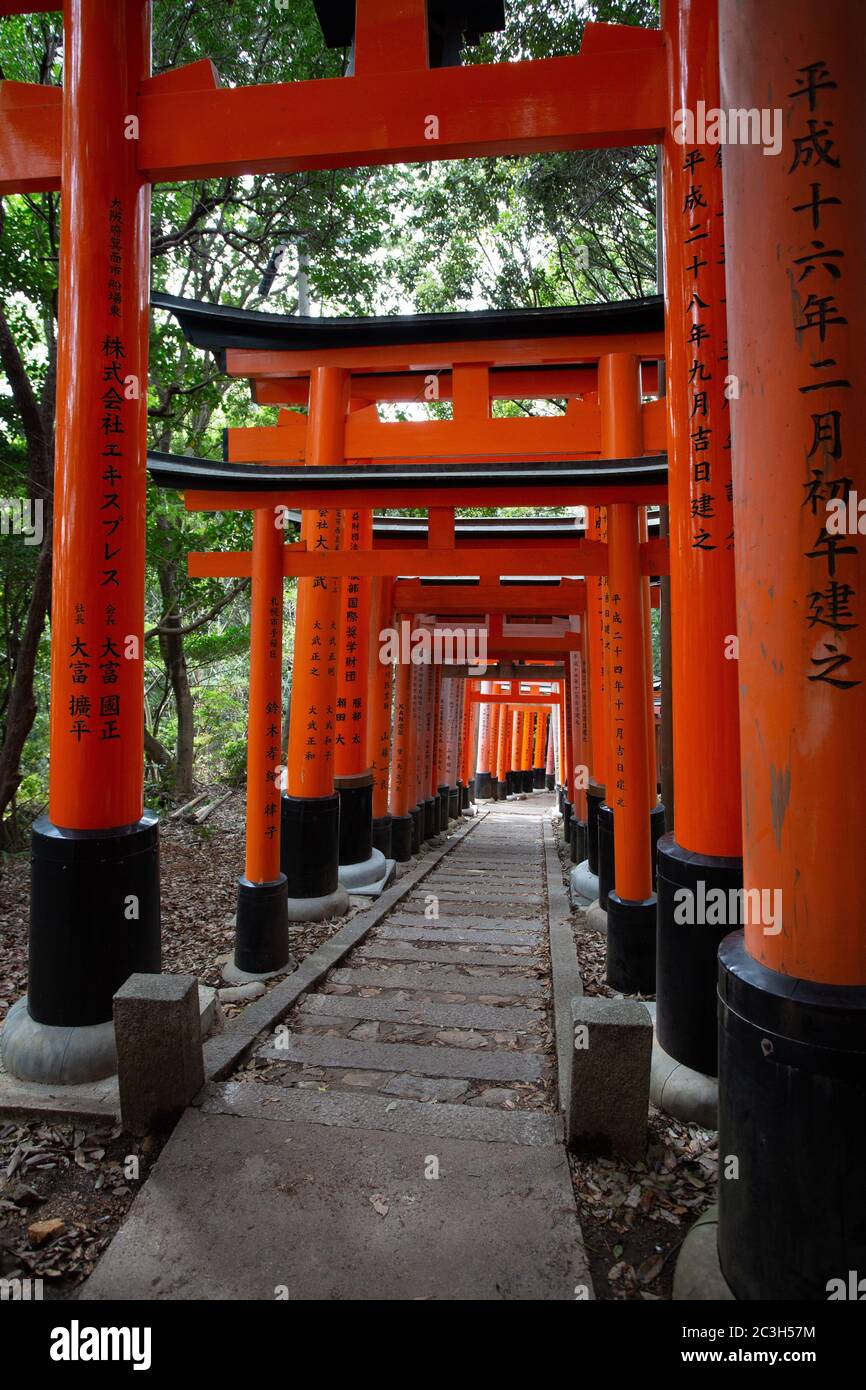 Image verticale des portes rouges de Torii à la Tisha Fushimi Inari à ...