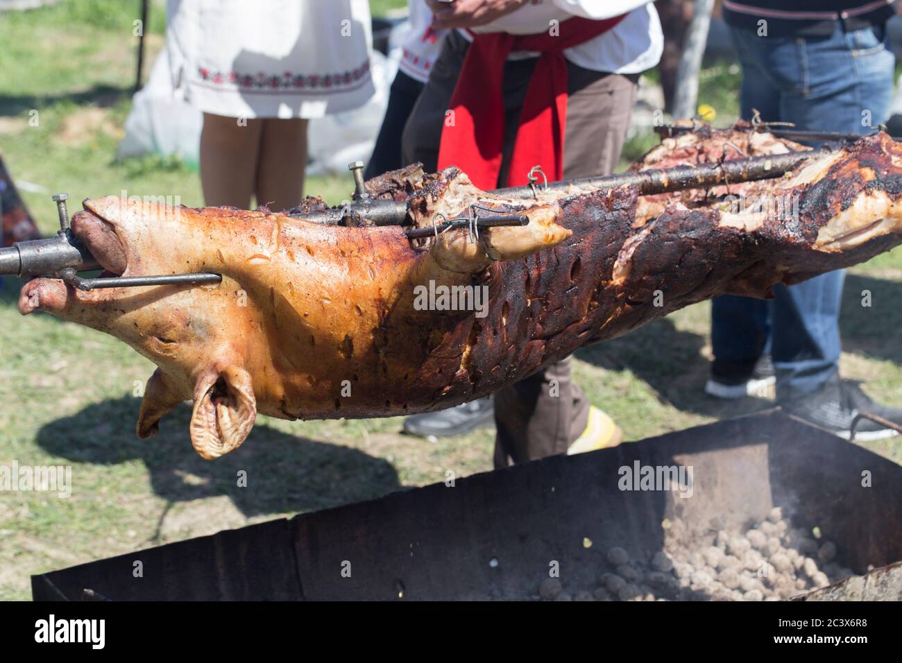 Gros lard gras Banque de photographies et d’images à haute résolution ...