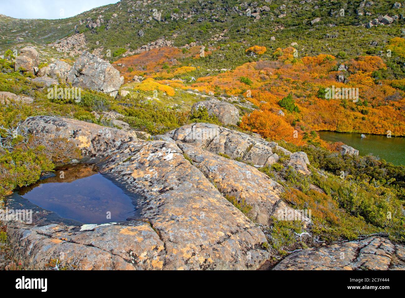 Mt field Banque de photographies et d’images à haute résolution - Alamy