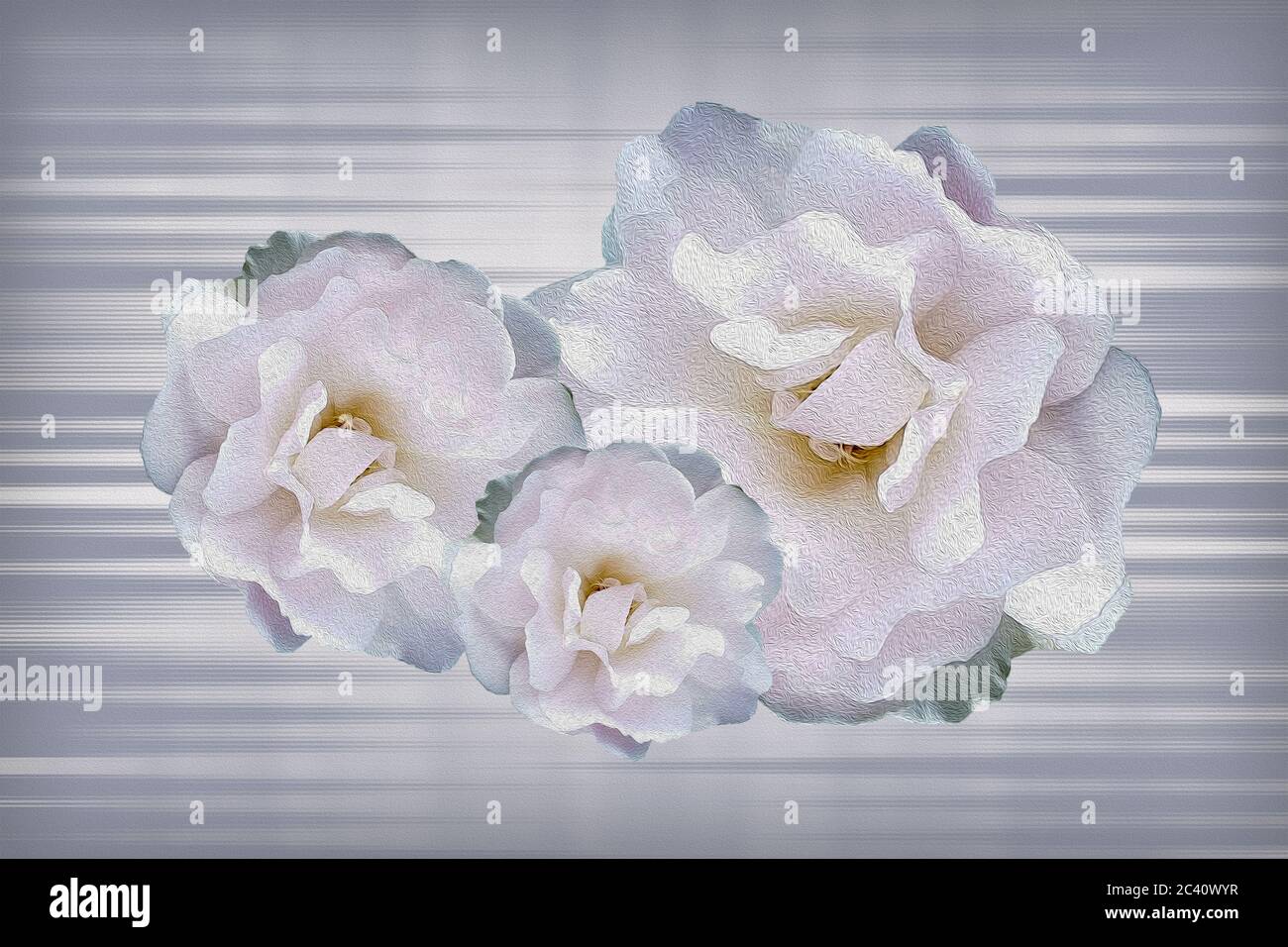 Rose et gris Banque de photographies et d’images à haute résolution - Alamy