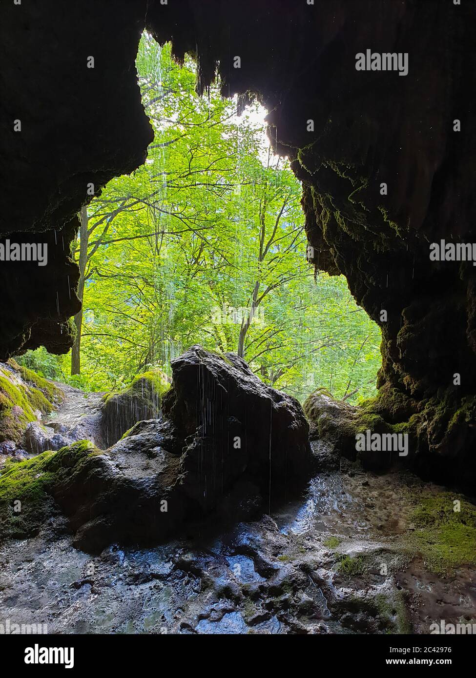 Forêt vue depuis l'entrée de la grotte aux cascades de Pietrelle ...